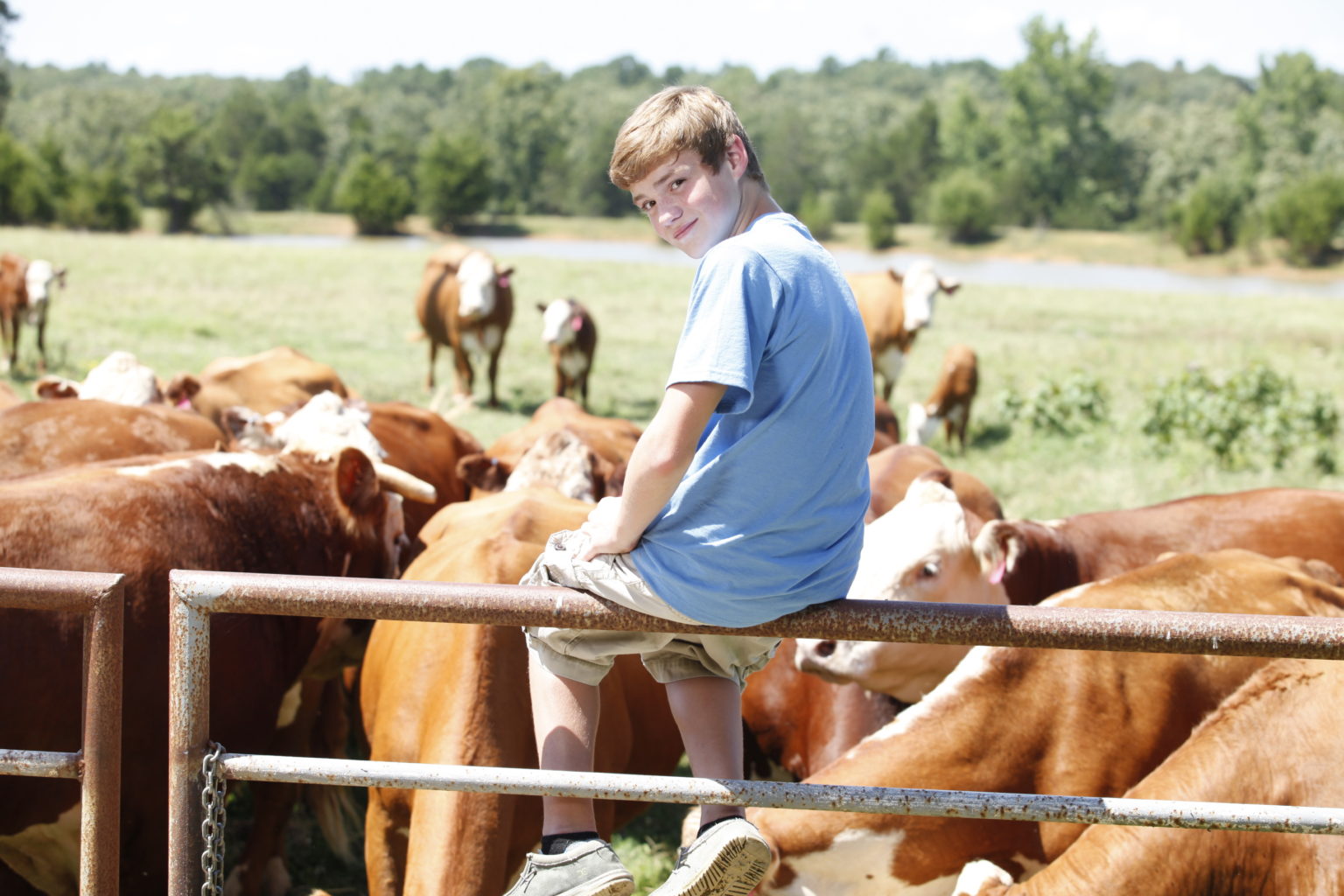 Arkansas Sheriffs' Youth RanchesRanch life fosters growth - Arkansas ...